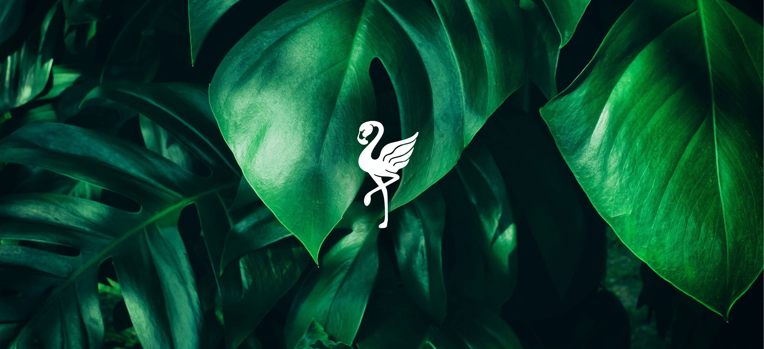 FLAMINGO APPAREL INC. – Flamingo Apparel